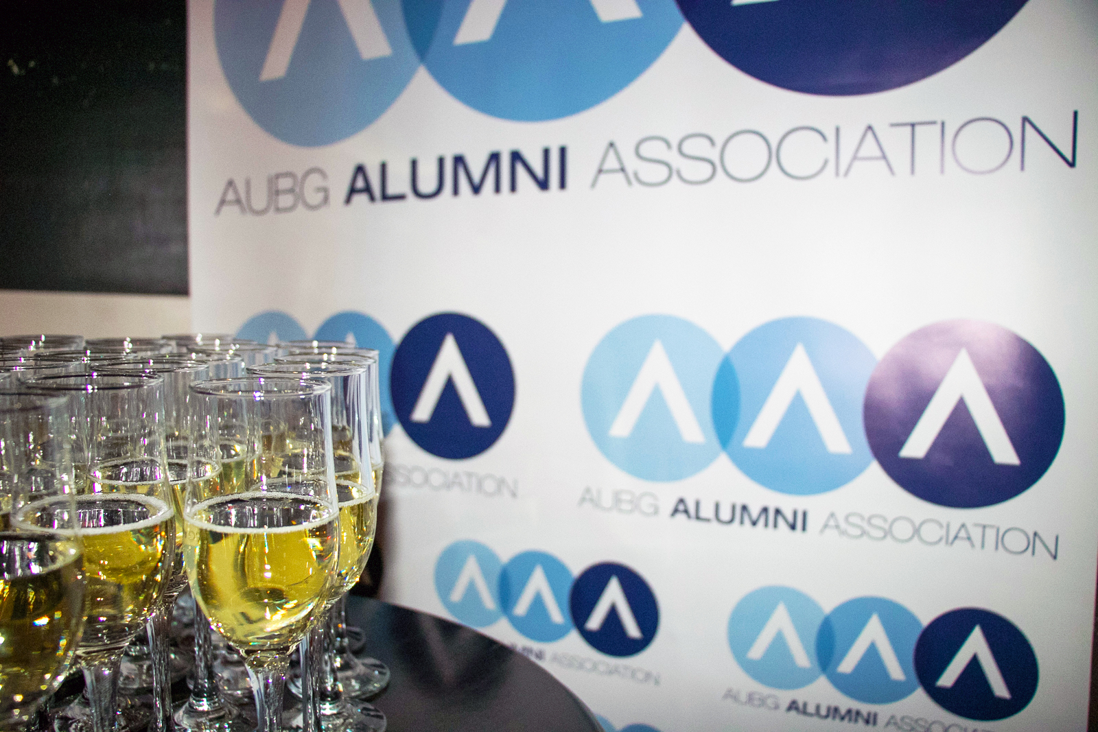 AAA Hosted its March Alumni Networking Party | AUBG Alumni Association